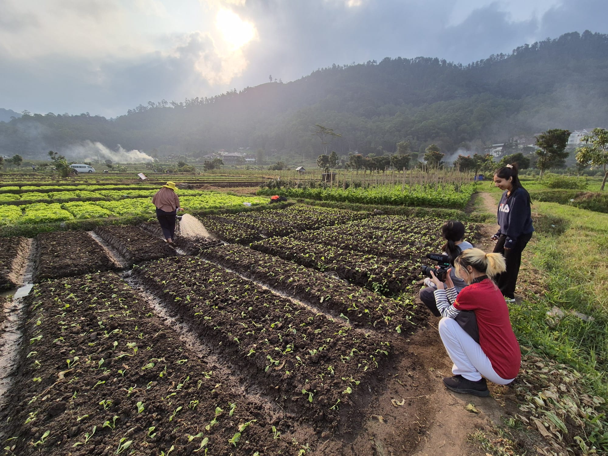 Diploma in MAD, Story & Content Creation | SP