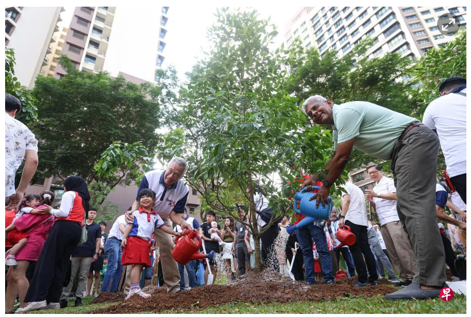 AMK Town Council plants 10,000 trees for two consecutive years, SM Lee ...